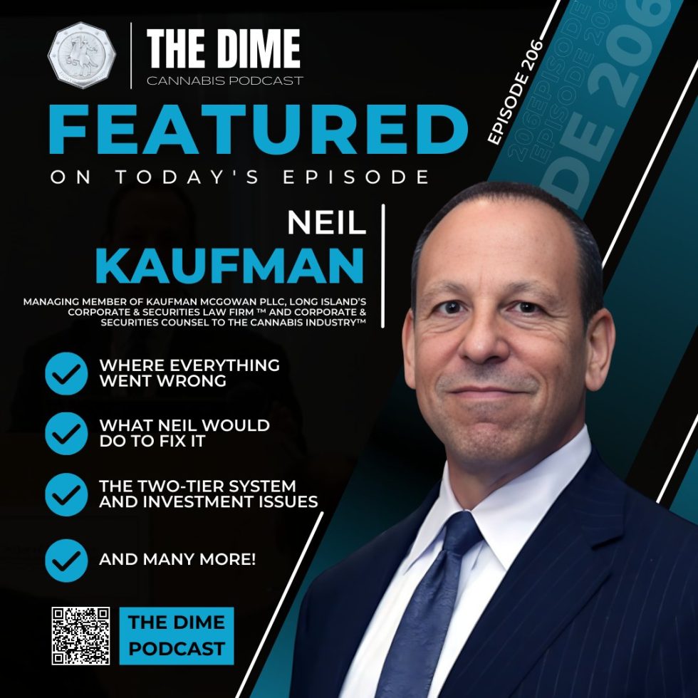 The DIME Podcast: "New York's Broken Cannabis Program: What Happened ...